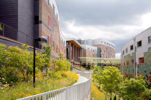 Collegetown Terrace - Fisher Associates Landscape Architecture Studio